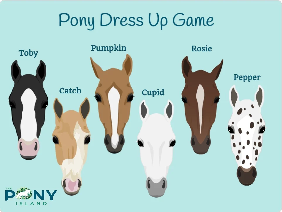 Pony Dress Up Game - The Pony Island